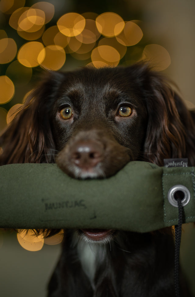 Canvas Gun Dog Training Dummies | Muntjac Trading